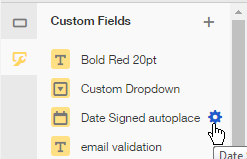 Delete a Custom Field