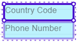 Example: Enable Phone Number Data Verification Fields